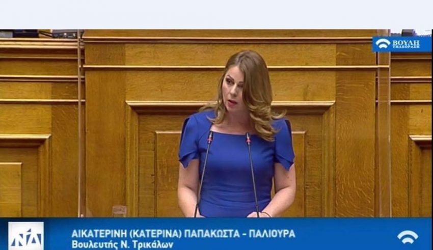 Κεντρική εισηγήτρια ορίστηκε η Κατερίνα Παπακώστα στο καίριας σημασίας ...