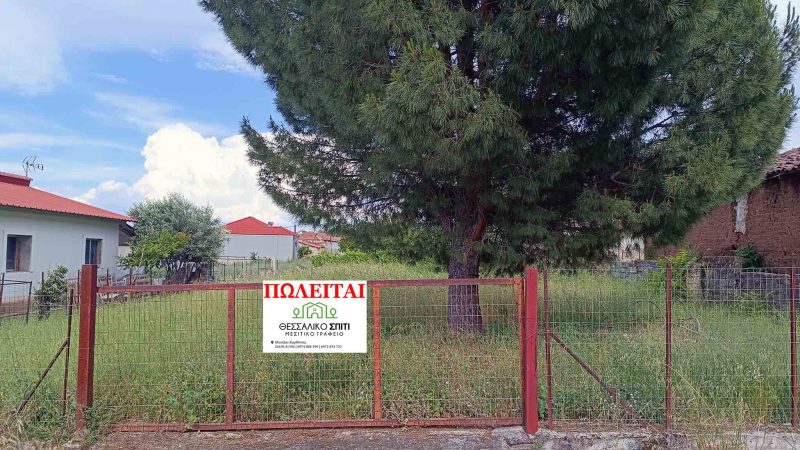 Πωλείται Οικόπεδο 540 Τ.Μ Στο Μαυρομμάτι Καρδίτσας - PyliNews